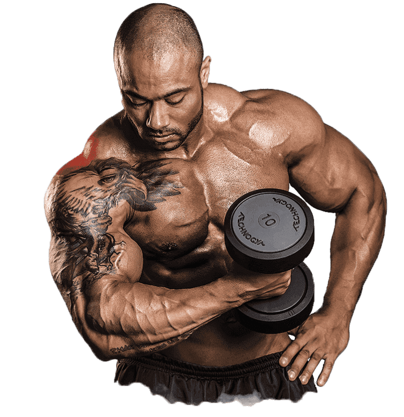 Muscle Building Supplement Stack | Biaxol Supplements